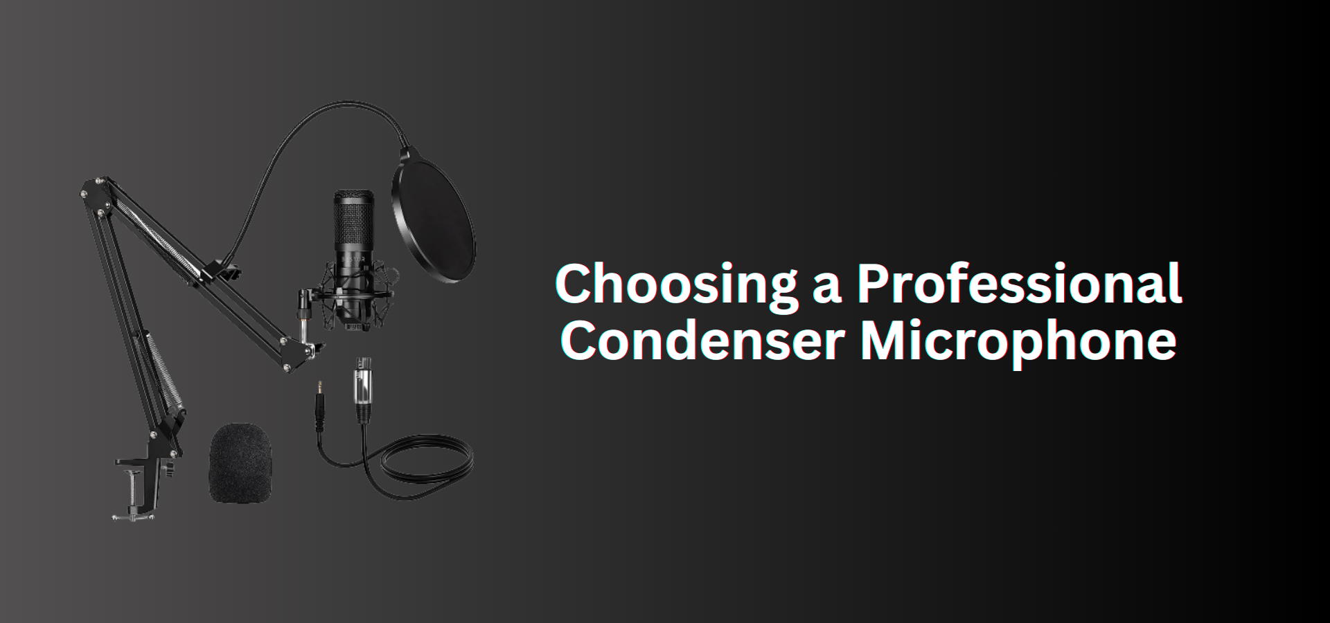 The Ultimate Guide to Choosing a Professional Condenser Microphone for ...